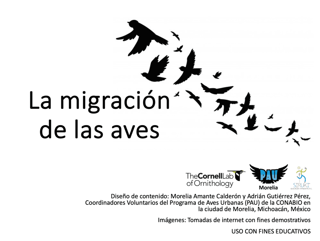 Presentation about Migratory Birds (In Spanish) – Educational and ...