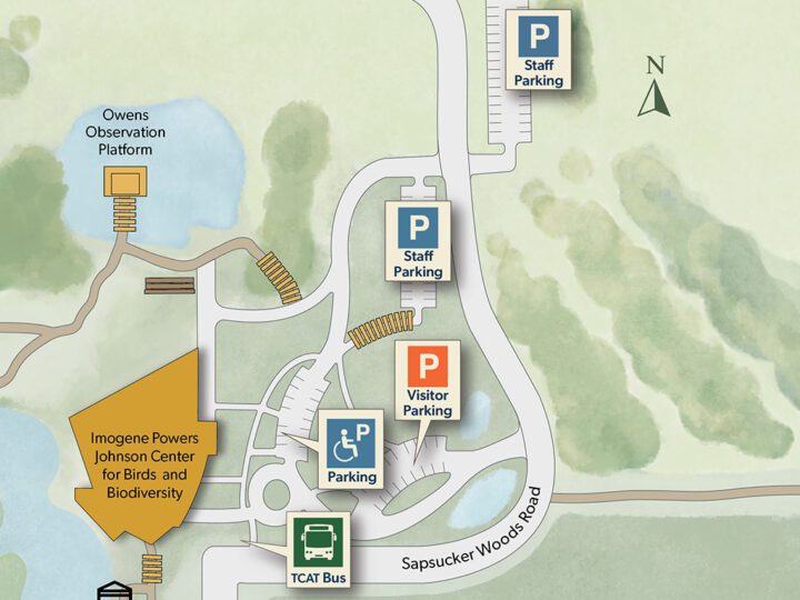 Student Life – Student Resources